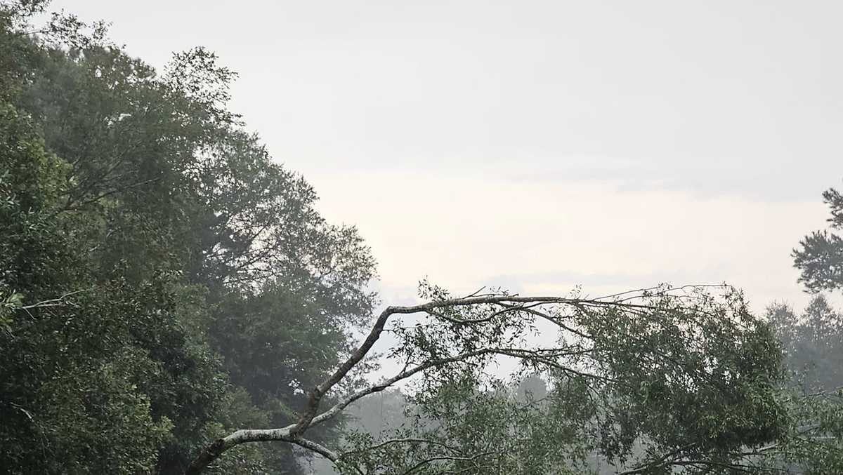 Savannah: Severe storms, strong winds hit the area