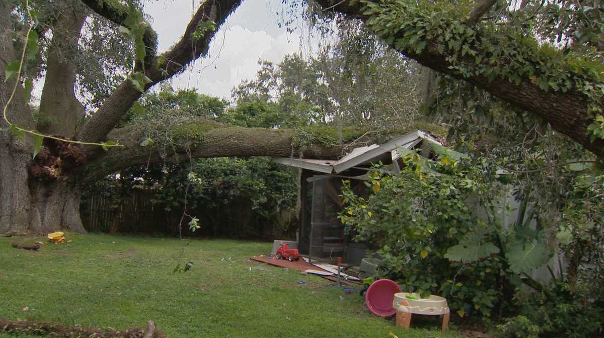 75-foot oak tree falls on Orange County home