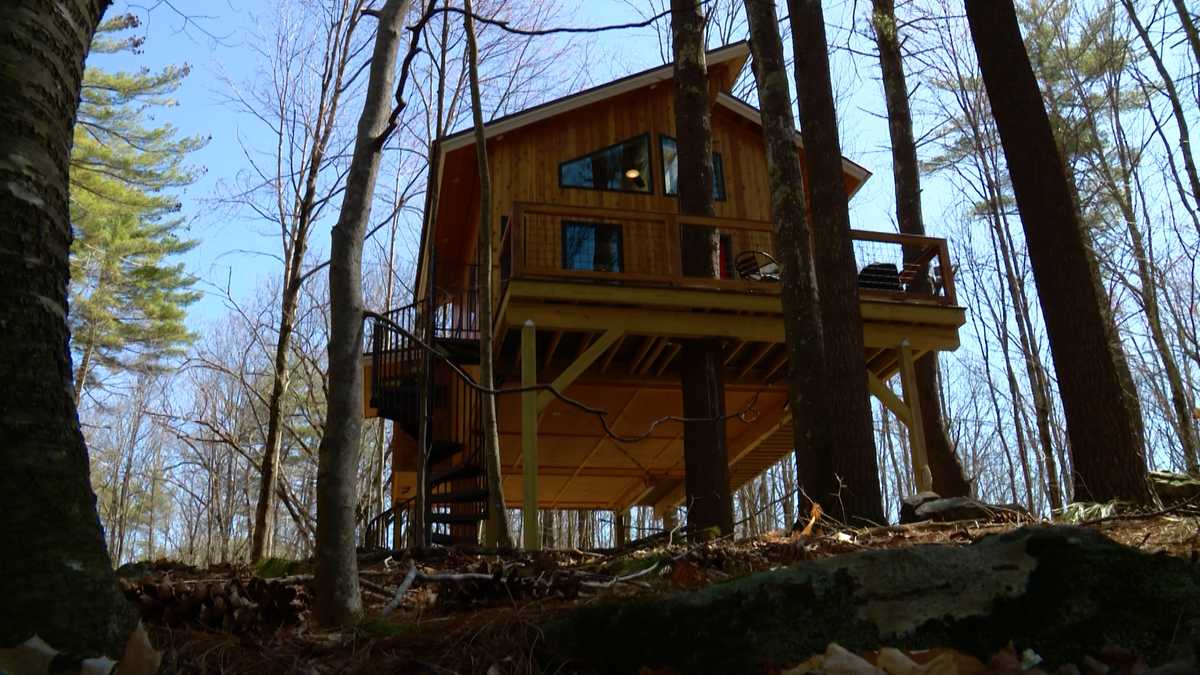 Maine man creates popular treehouse retreat