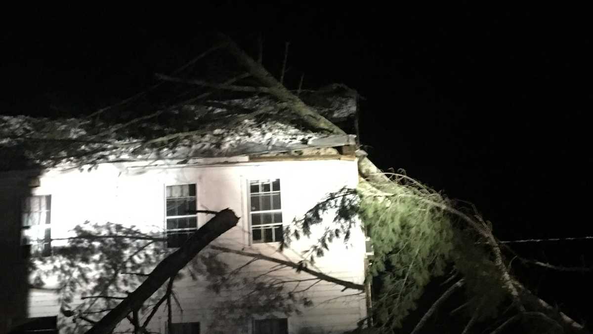 Tree falls through Swanzey home