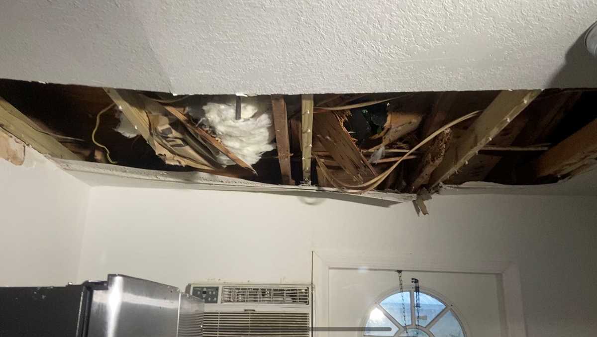 Severe storms topple tree through the roof of Florida duplex