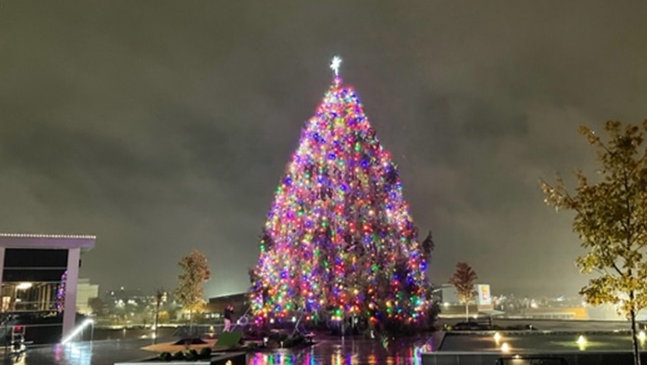 Rogers Christmas tree lighting benefits Saving Grace NWA