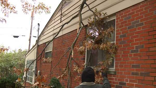 Fallen tree limbs decorate much of Greater Cincinnati after ice storm