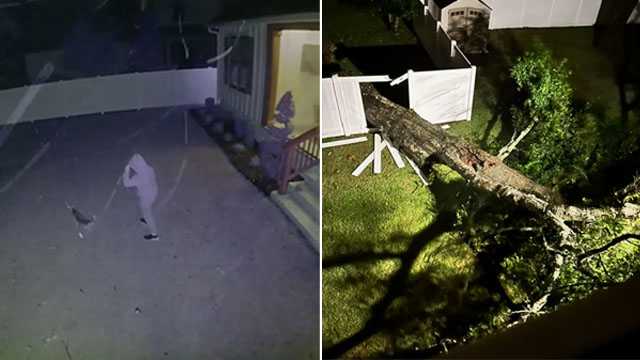 VIDEO: Tree falls in Florida yard seconds after woman goes inside