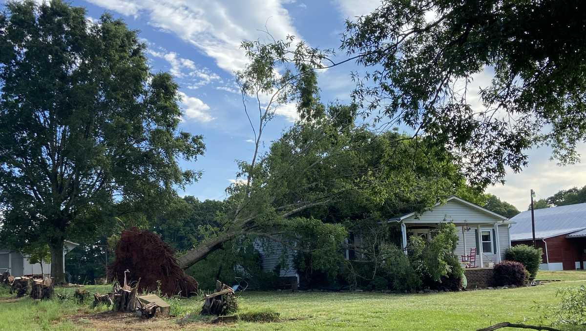 PHOTOS: damage to buildings on farm, trees after storm