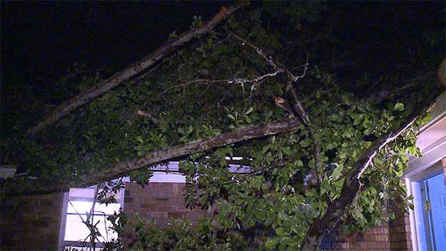 Tree falls onto Raymond home during storms