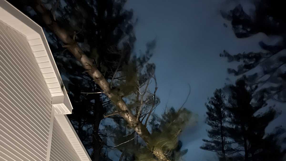See photos of damage from Tuesday night's winter storm in Vermont