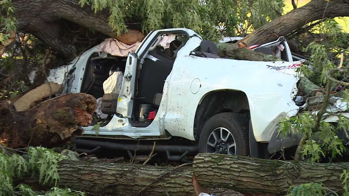Man 'very lucky' to be alive after tree lands on his pickup truck