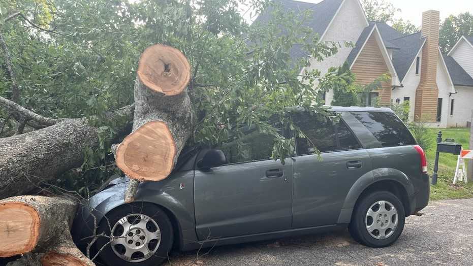 Three people escape when large tree falls on vehicle in Vestavia Hills