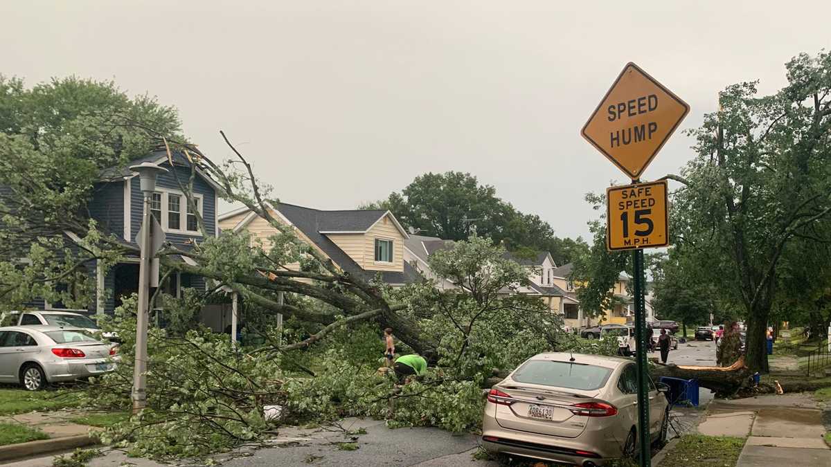 Downed trees, debris left after severe storms hit Baltimore City