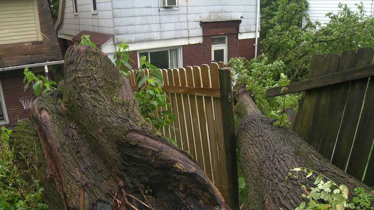 'It was like deja vu all over again': Tree crashes into Carrick home
