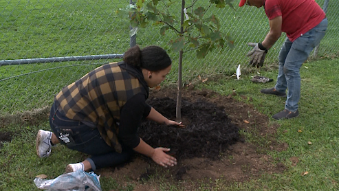Organization plants more trees