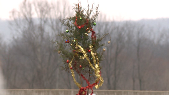 Little highway Christmas tree in Bullitt Co. back spreading holiday cheer