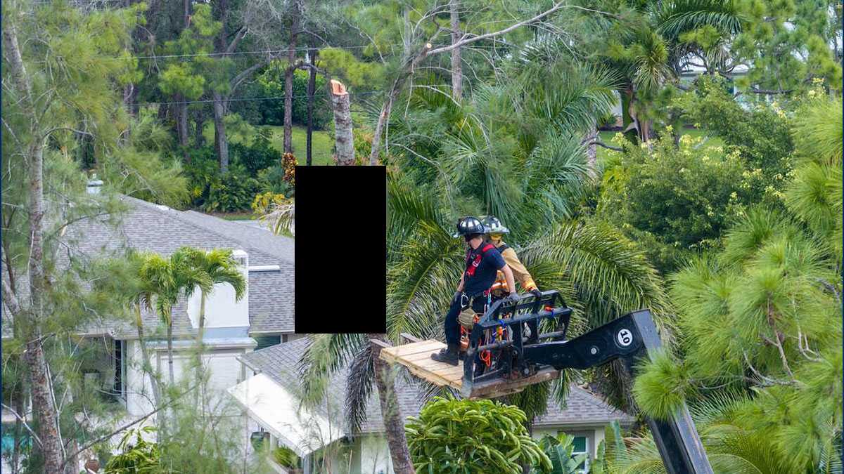 Naples landscaper dies in tree after being struck by branch