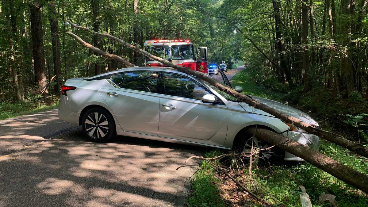 Driver escapes crash with just minor injury after tree impales car