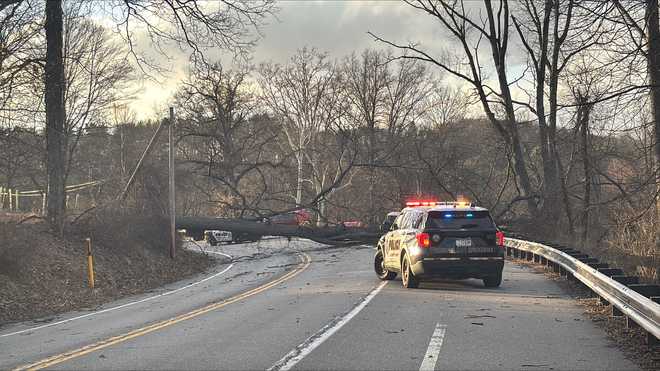 Large tree falls on house in Pittsburgh