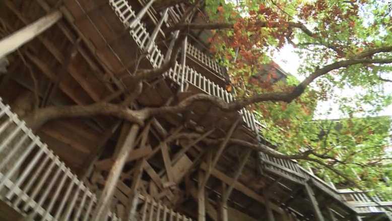 Huge fire destroys 10-story treehouse