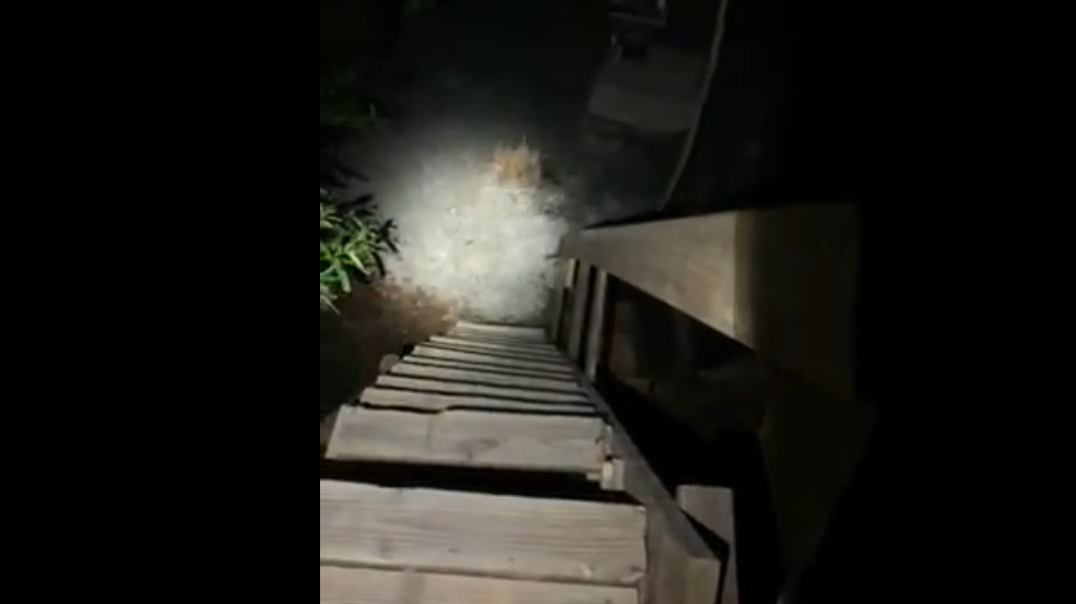 Video: Hideout of man accused of killing Daytona Beach officer