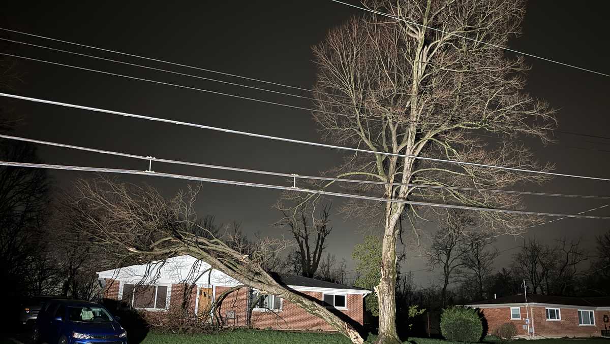 Family uninjured after tree falls on Union Township home during Sunday ...