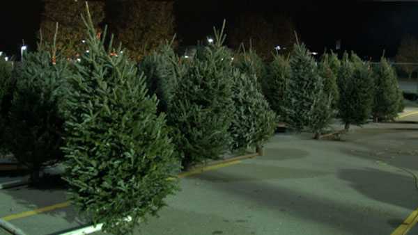 Despite closing a location, classic tree farm in Indiana sees big sales ...