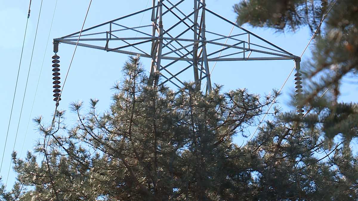 Homeowners opposing OPPD project clearing trees