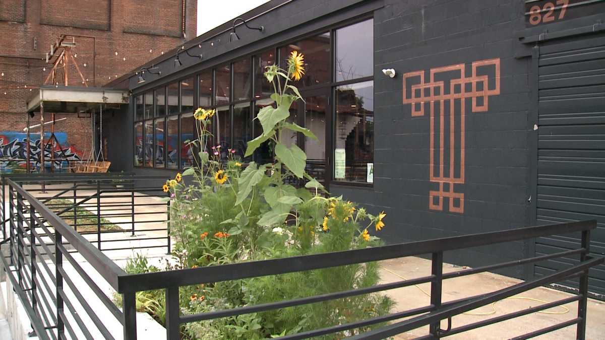 Trellis Brewing breathes new life into vacant Merchants Ice Tower