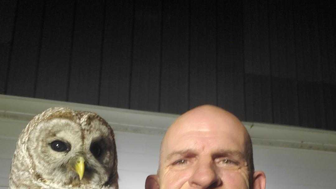 Look 'who' is back at it — state trooper rescues another owl from the road