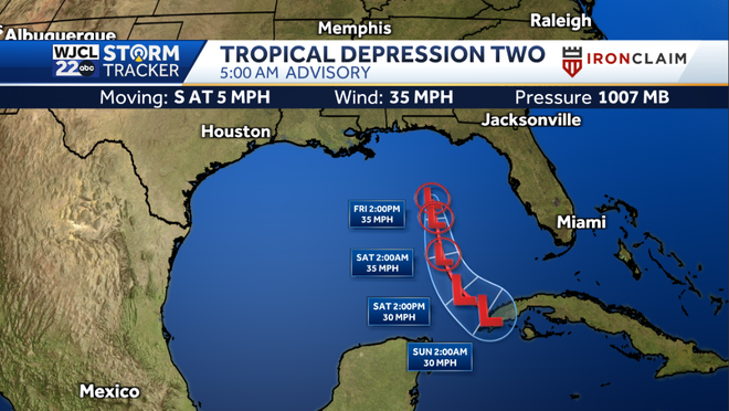 Savannah: Tropical Depression Two develops into Arlene