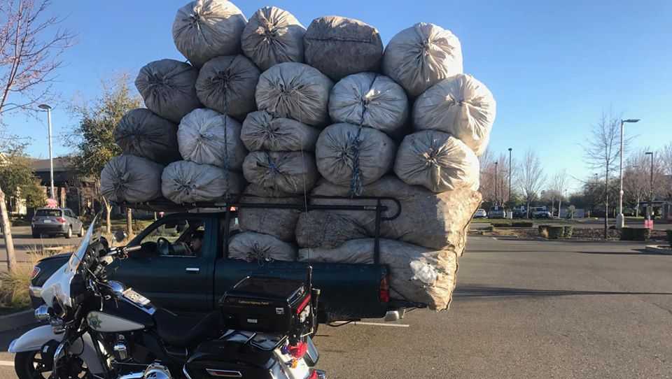 Shocked patrol officer stops truck with ‘extremely unsafe load’