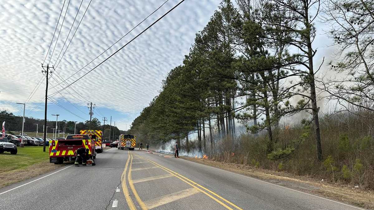 GALLERY: Alabama firefighters battle multiple major brush fires