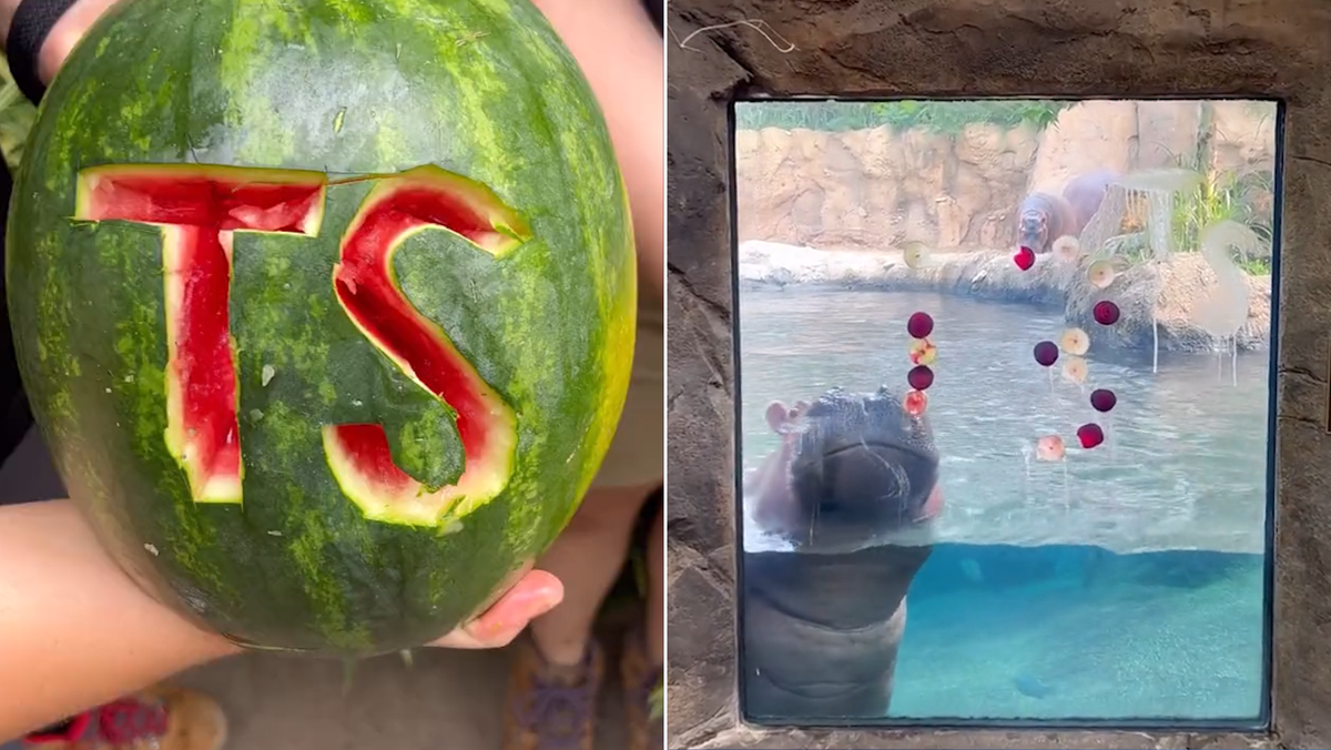WATCH: Fiona, Fritz and the rest of the Hippo Bloat celebrate start of ...