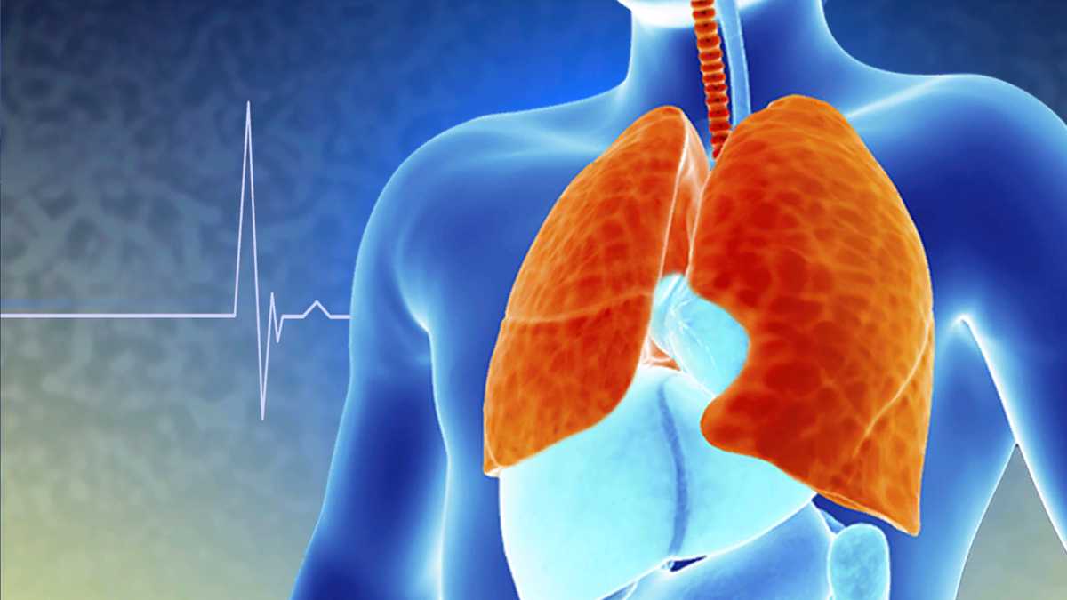 Tuberculosis disease: Everything you need to know about the disease