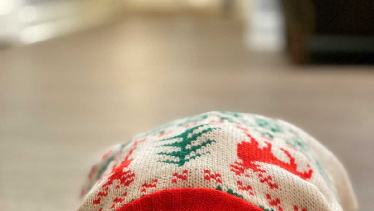 Tuc the Tortoise gets into the holiday spirit