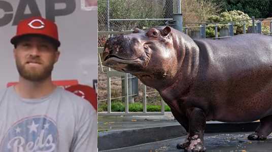 'It's great to have another Tucker in town': Reds catcher welcomes new ...