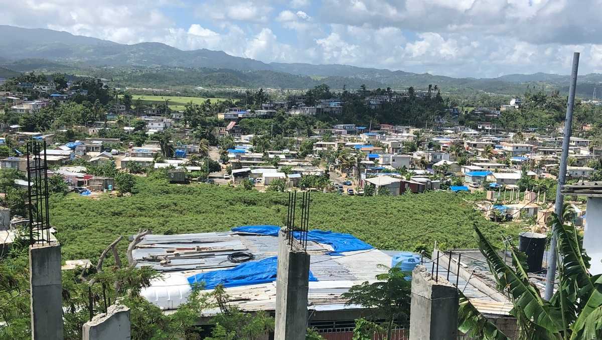 Follow Stewart Moore’s journey in Puerto Rico