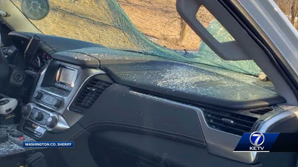 Turkey tumbles through cruiser windshield