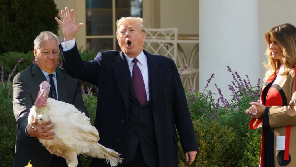 Turkeys, Peas and Carrots, granted ﻿poultry pardons ahead of Thanksgiving