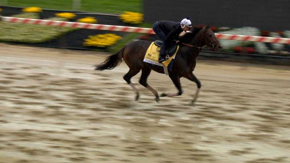 149th Preakness Stakes in photos