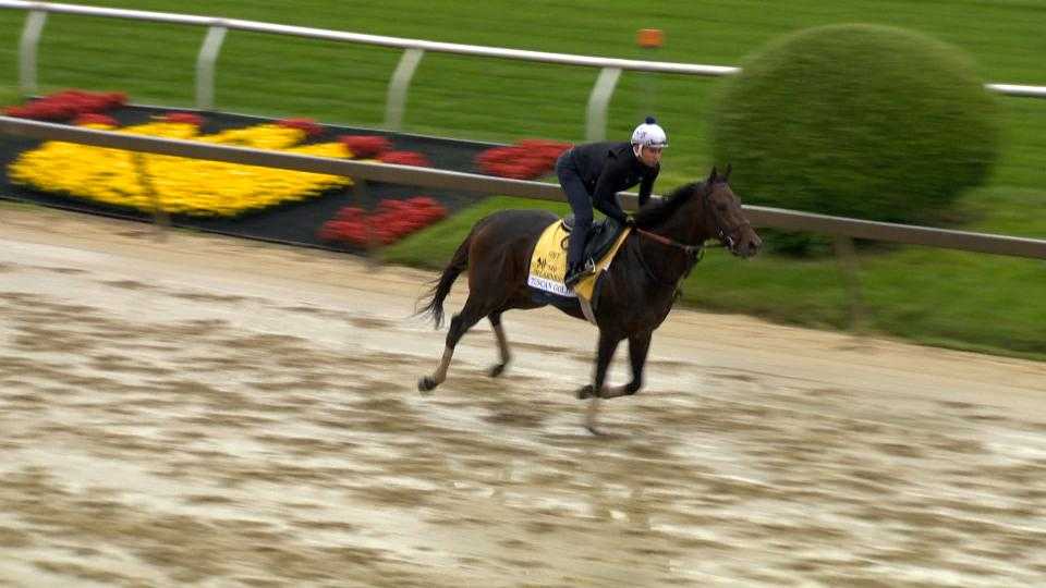 149th Preakness Stakes in photos