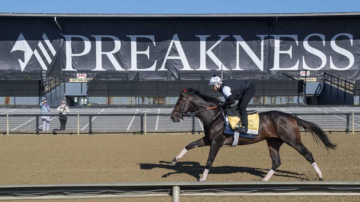 149th Preakness Stakes in photos