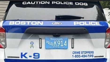 Boston police announce sudden death of active-duty K9 Tyson