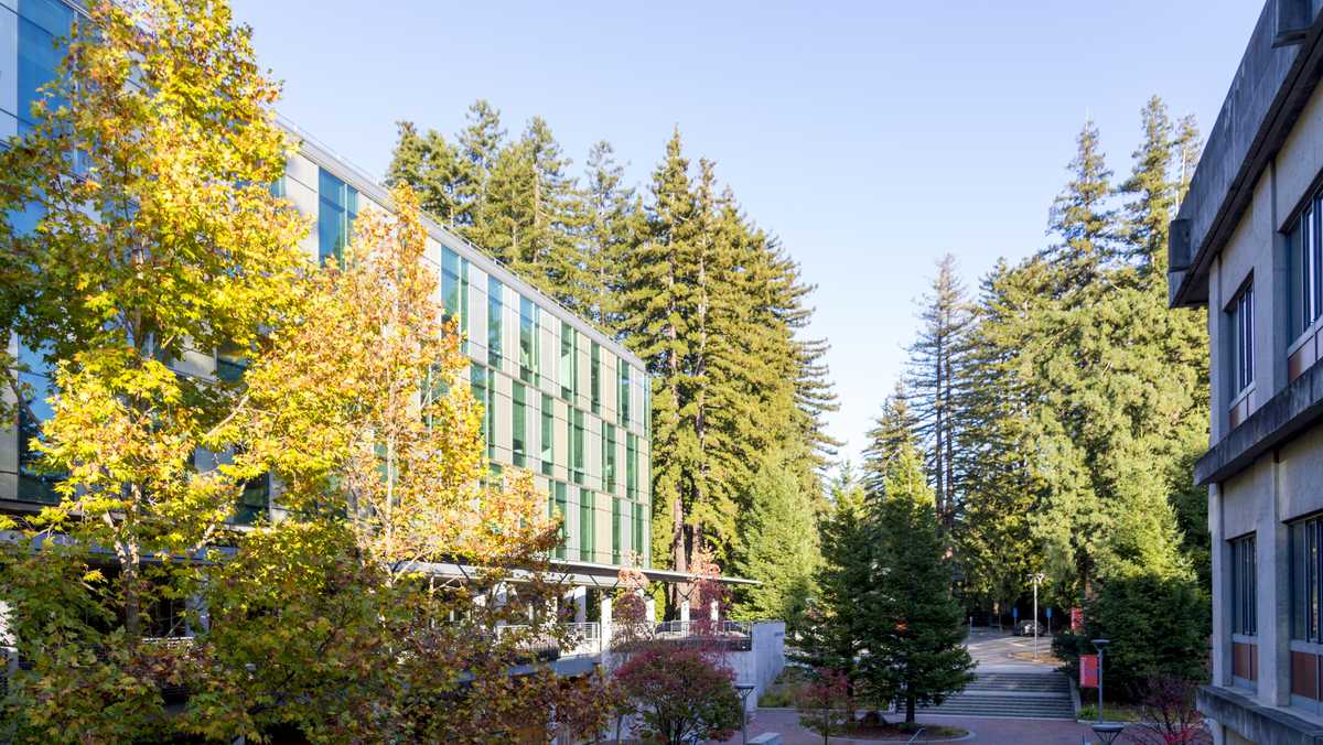 Three UCSC alumni named in Forbes 30 Under 30