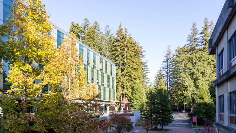 Three UCSC alumni named in Forbes 30 Under 30