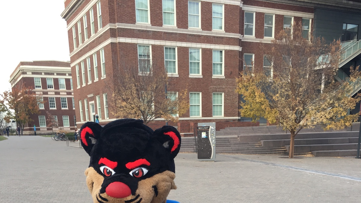 Dogs join classes at UC as part of service dog training