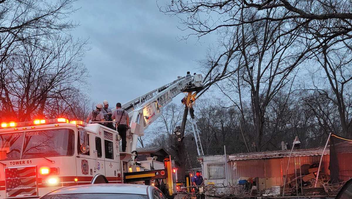 South Carolina: Man trapped in tree rescued