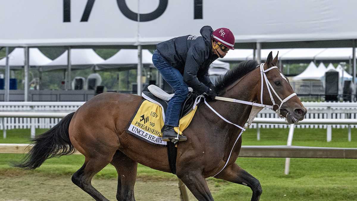 149th Preakness Stakes in photos