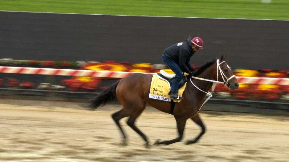 149th Preakness Stakes in photos