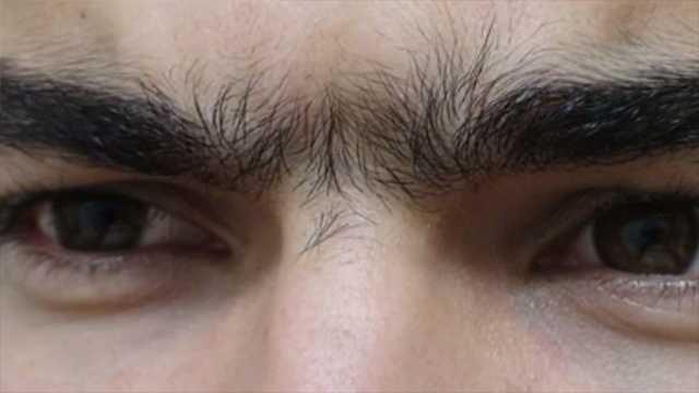 Unibrows may be new trend