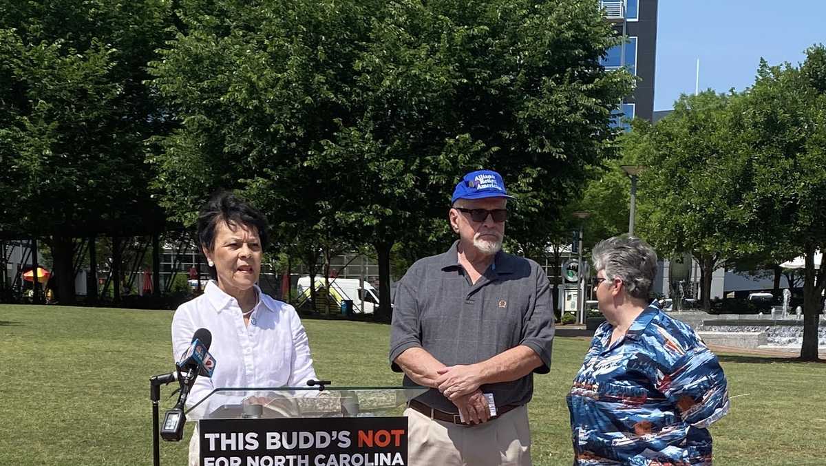 NC democratic chair says she's confident of support from party.