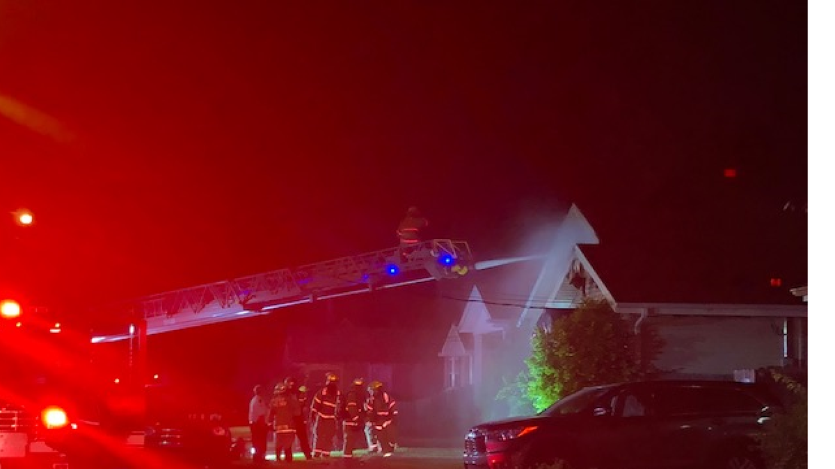 Dog revived with CPR after being rescued from Metairie house fire